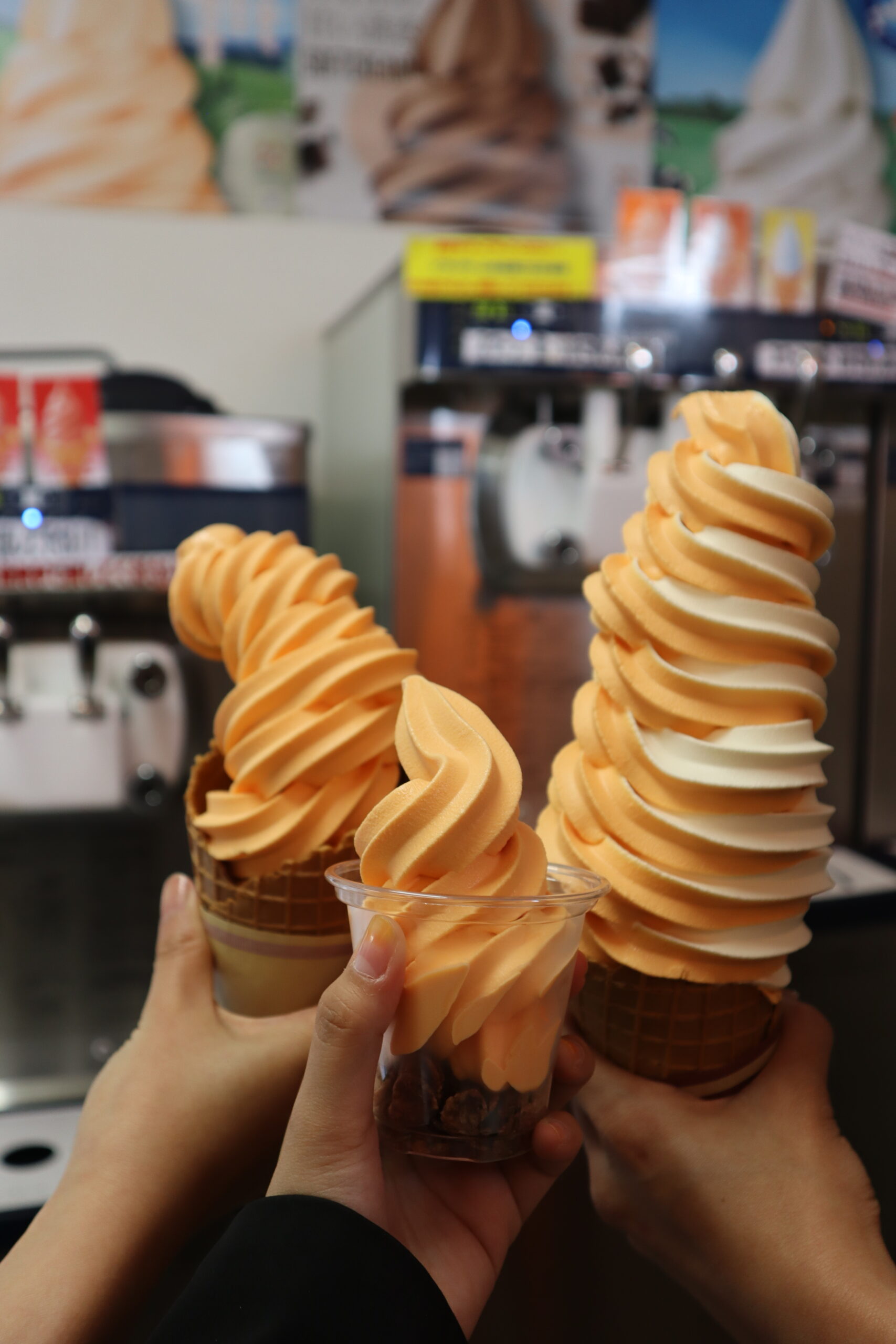 Nikmati sensasi lezat Soft Cream di Hakodate | Travel Hakodate